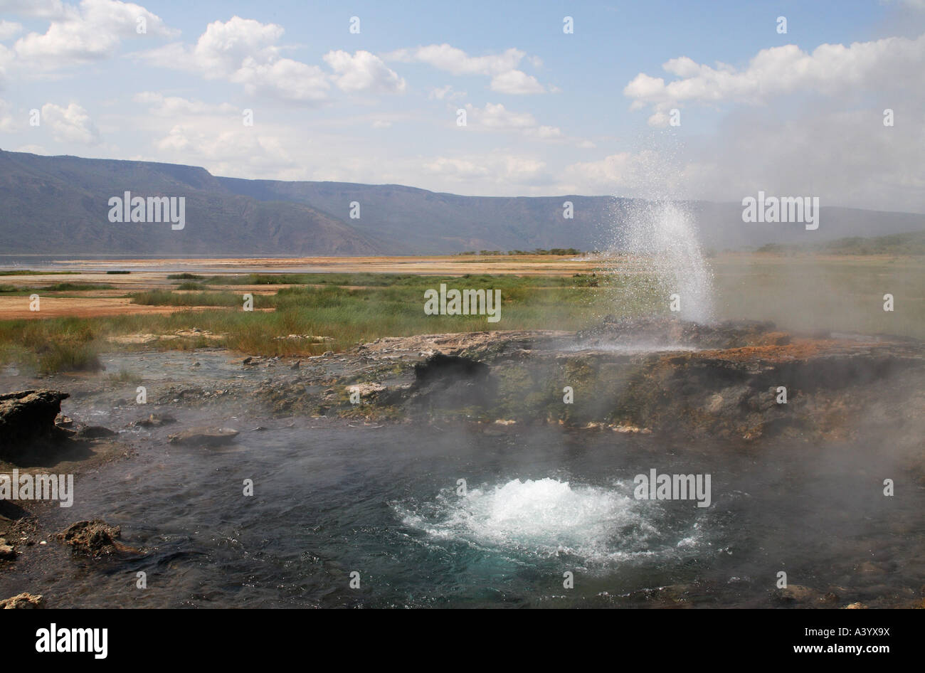 hot springs and geysers at lake Bogoria, Kenya, Kenya, Lake Bogoria ...