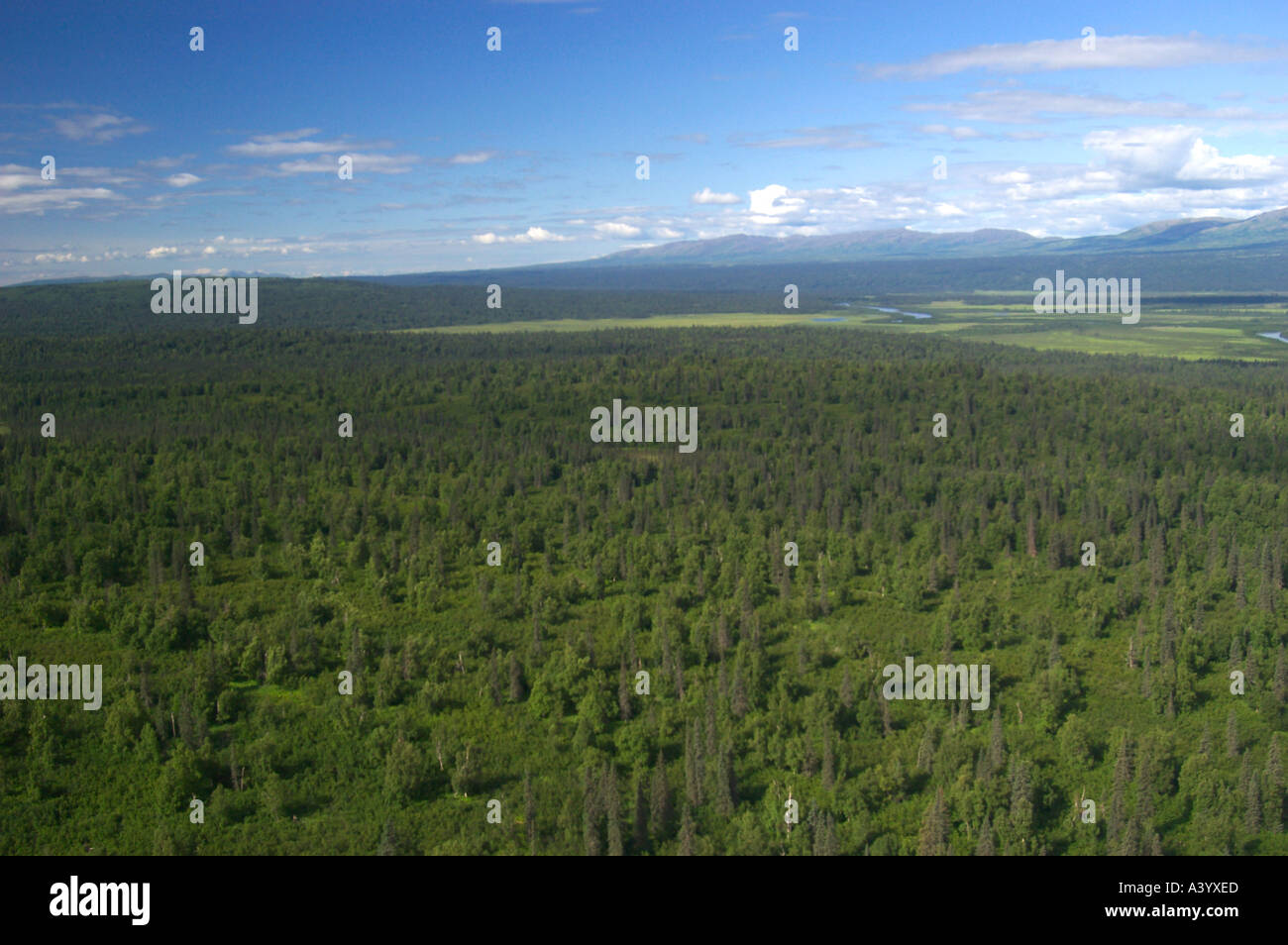 Alaska usa marshes wetlands hi-res stock photography and images - Alamy