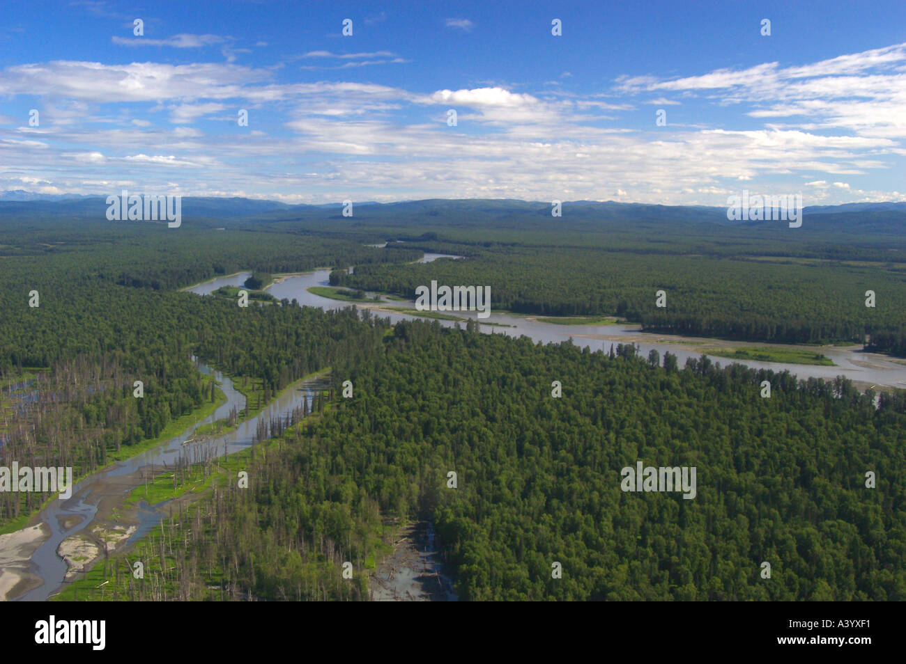 Alaska usa marshes wetlands hi-res stock photography and images - Alamy
