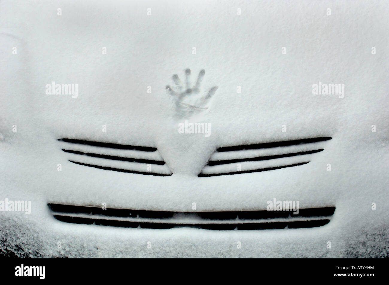 A Hand Print, On The Snow Covered Bonnet Of A Parked Vehicle Stock ...