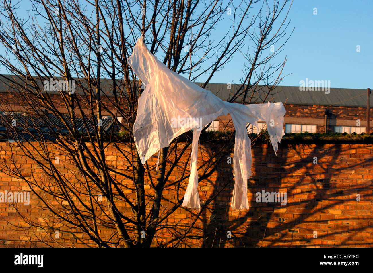 Polythene sheet hi-res stock photography and images - Alamy