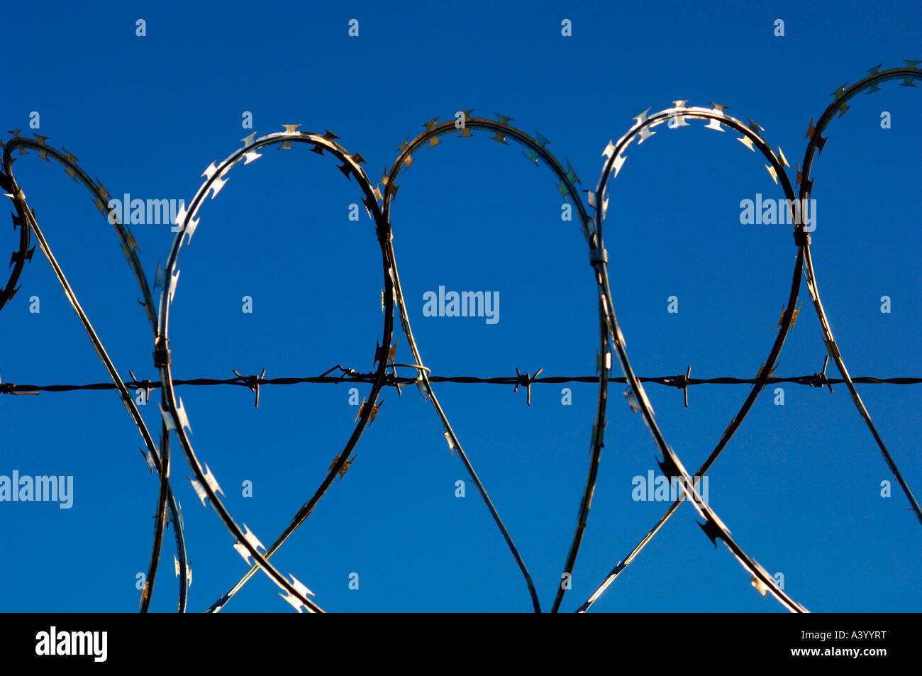 Razor Edged Barbed Wire Stock Photo - Alamy
