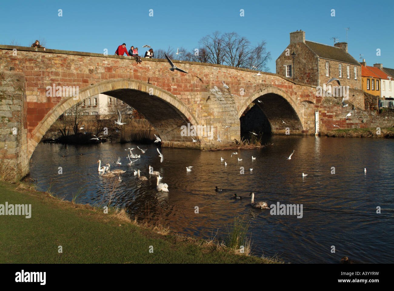Old nungate bridge hi-res stock photography and images - Alamy