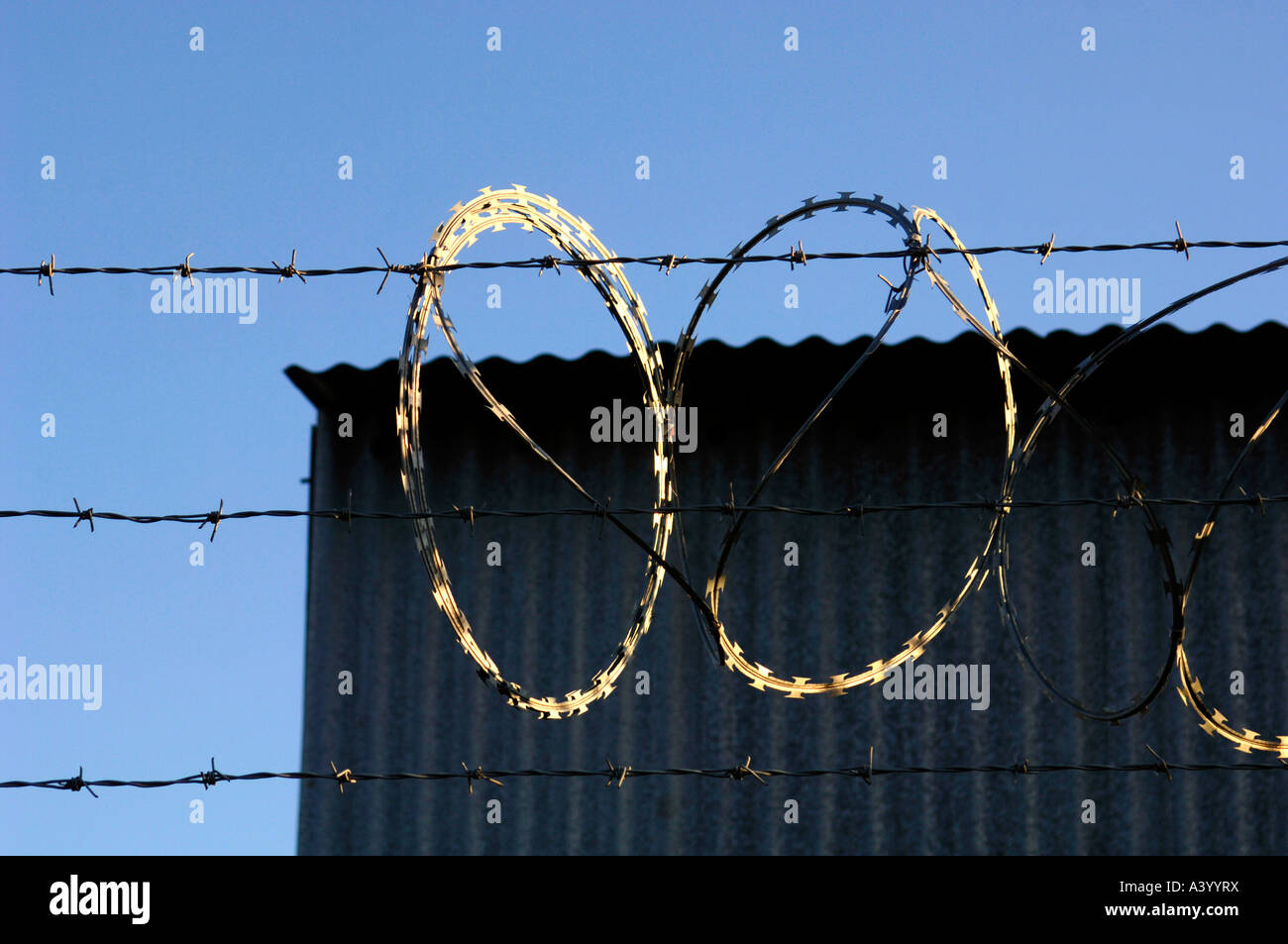 Razor Edged Barbed Wire Stock Photo - Alamy