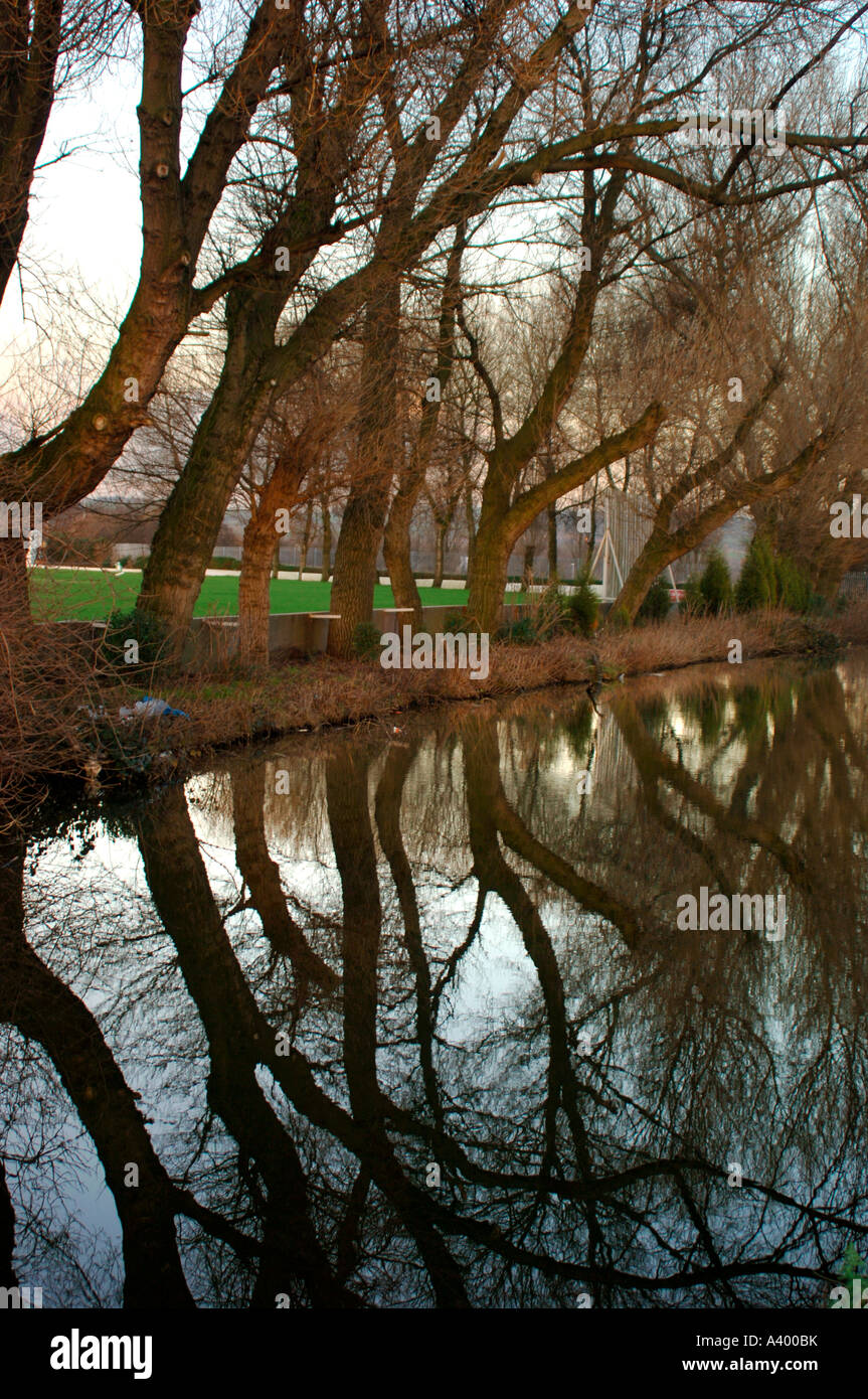 Symmetrical trees hi-res stock photography and images - Alamy
