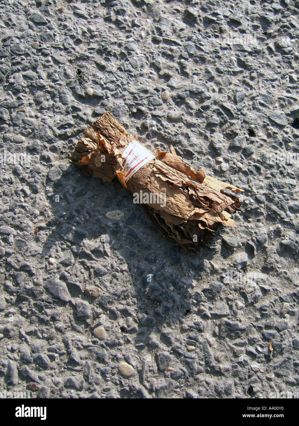 Cigar stubs hi-res stock photography and images - Alamy