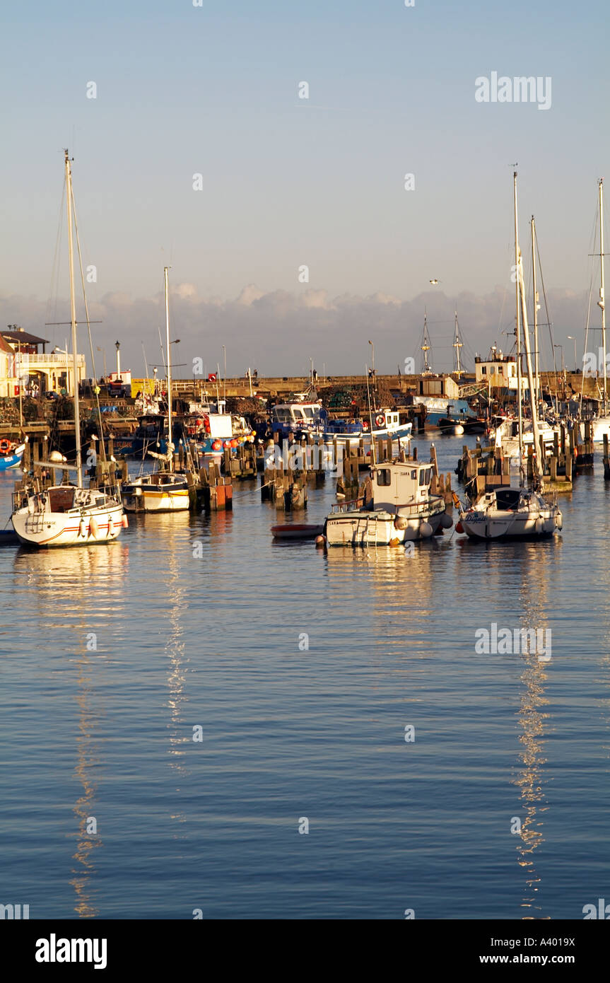 bridlington, harbour, northern, east, north, england, small, fishing ...