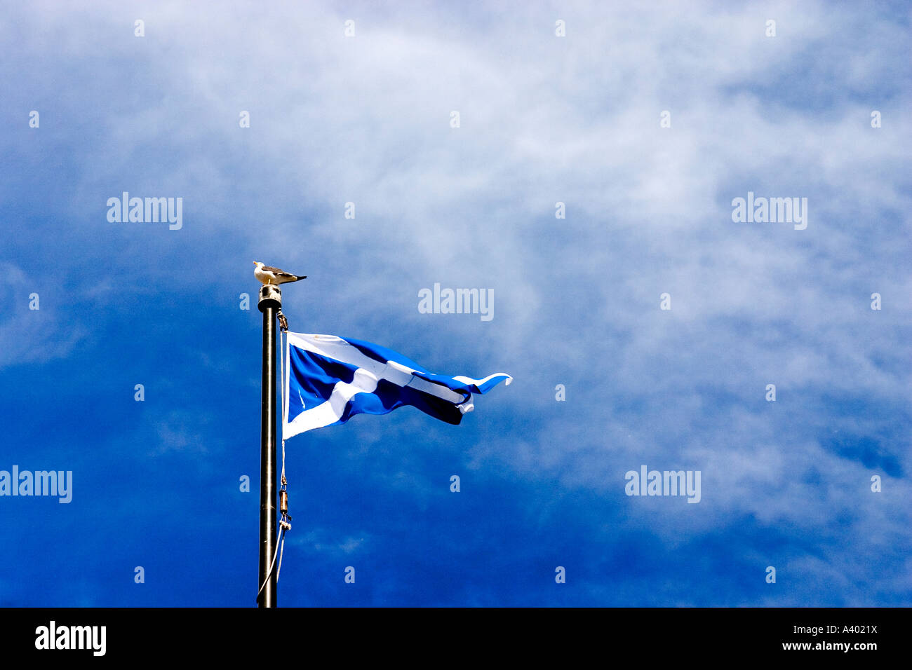 St Andrews Flag - One of the national emblems of Scotland Stock Photo ...