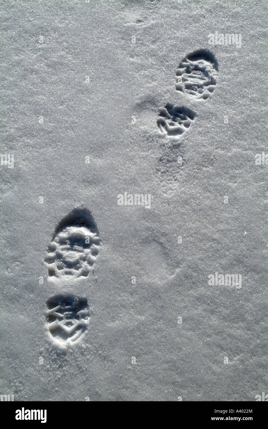 Boot prints woods hi-res stock photography and images - Alamy