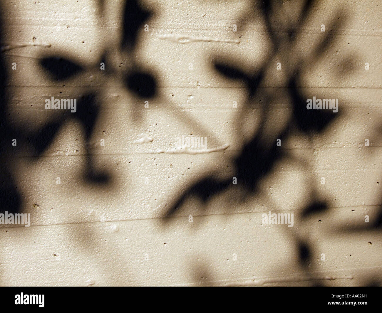 tree shadow on wall Stock Photo - Alamy