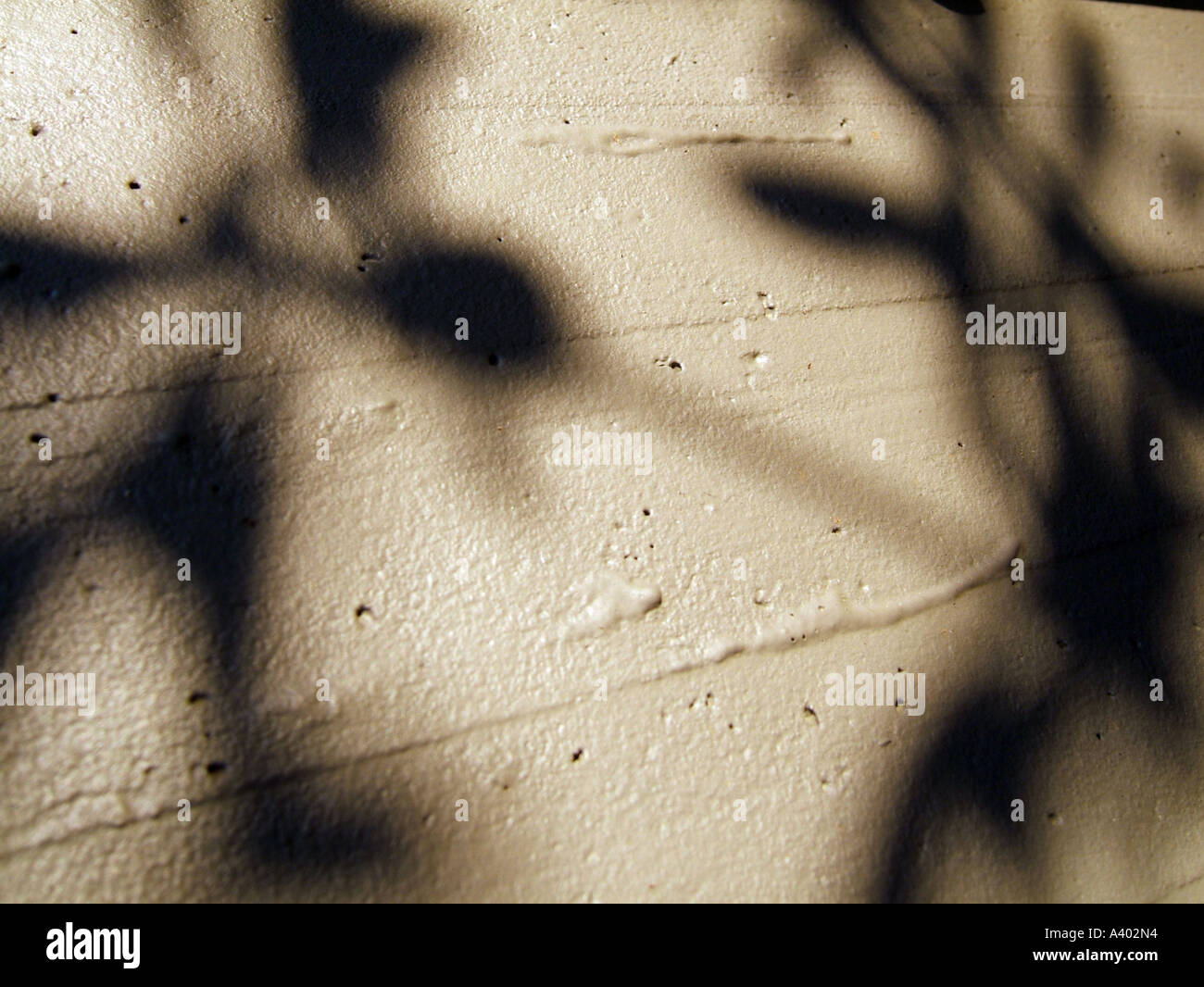 tree shadow on wall Stock Photo - Alamy