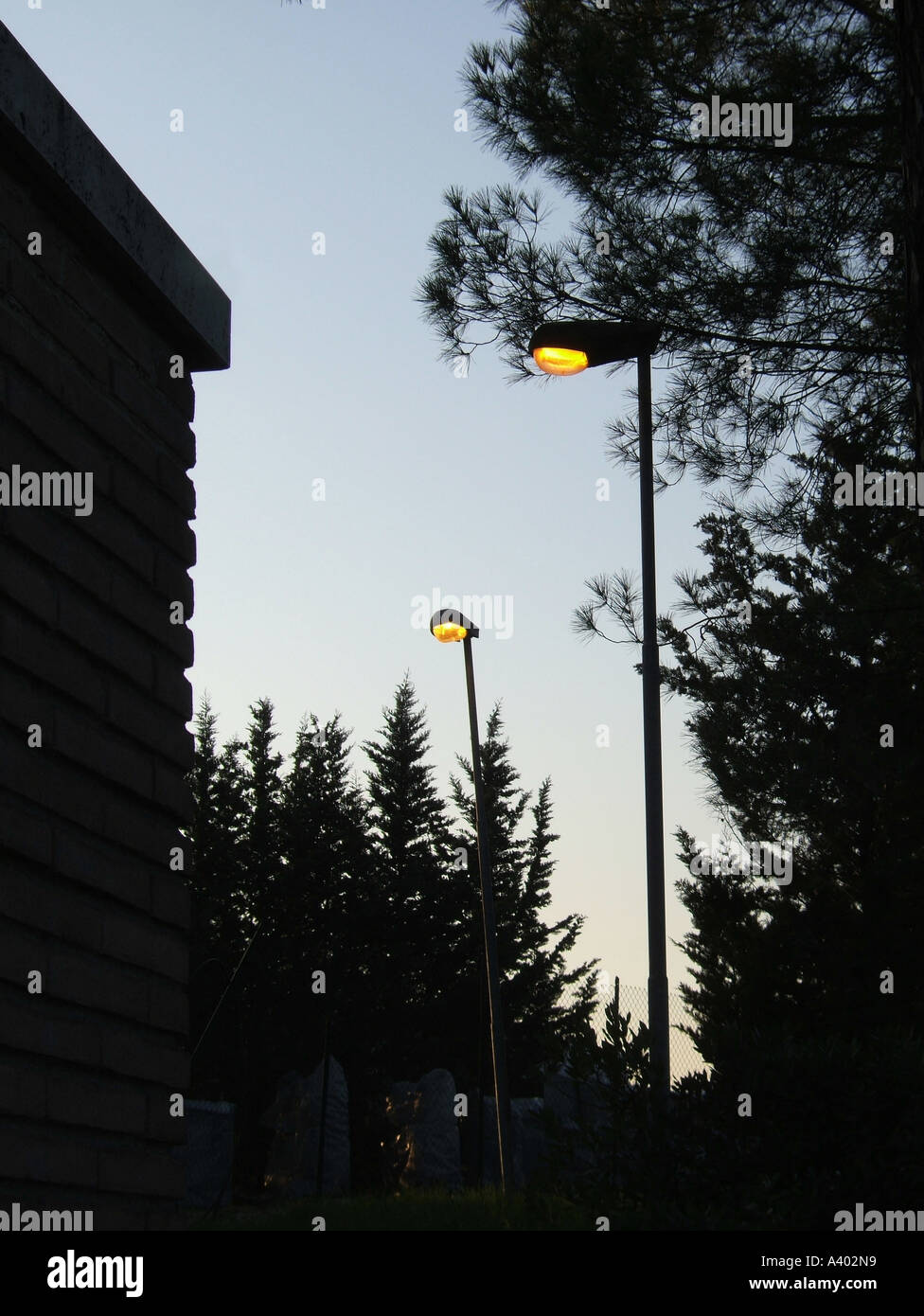 lit lamp post in woods Stock Photo - Alamy