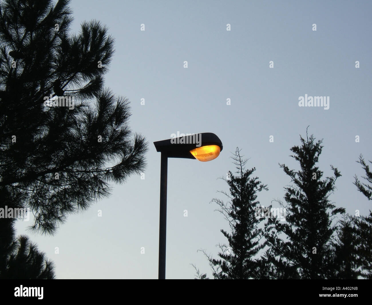 lit lamp post in woods Stock Photo - Alamy