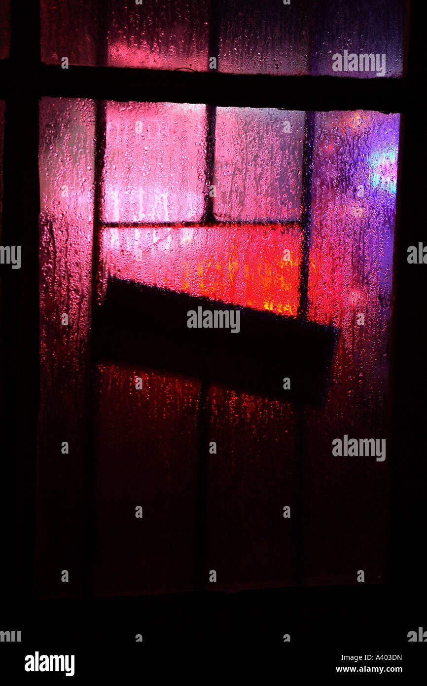 ABSTRACT Fishtail neon signmakers shop window at night Brighton East ...