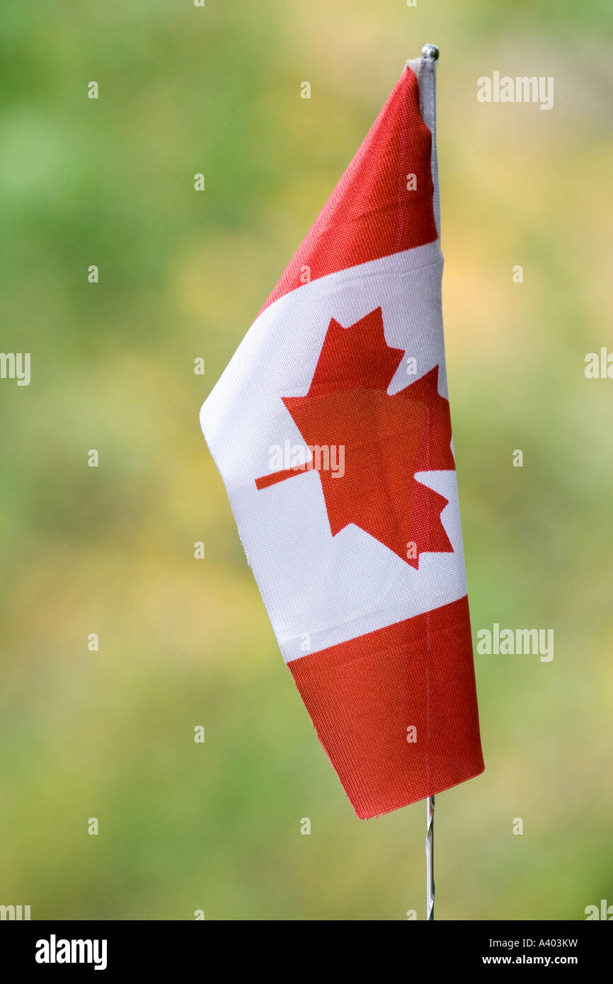 Small Canadian flag Stock Photo - Alamy