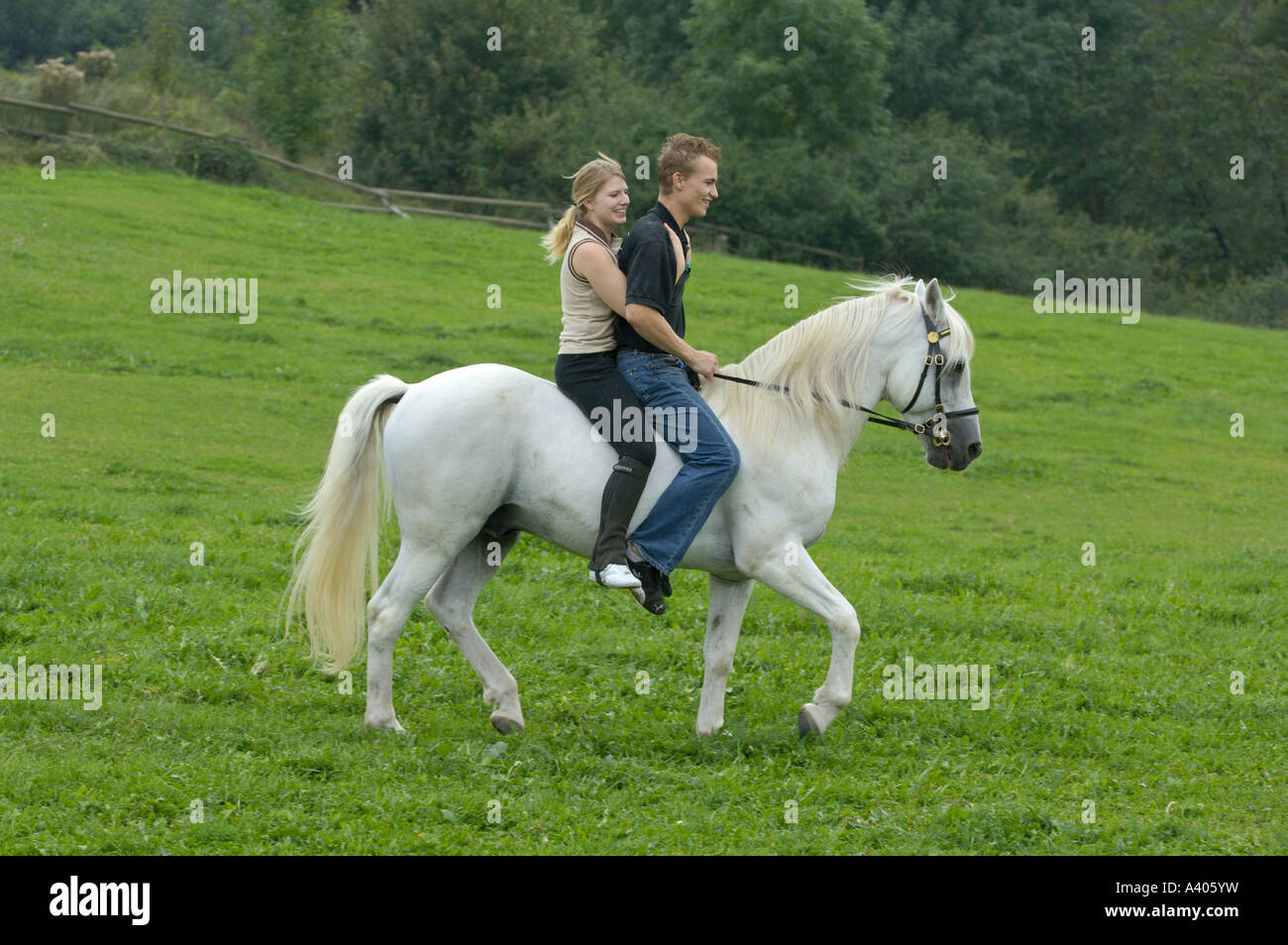 Two young riders together on a Connemara pony stallion Stock Photo - Alamy