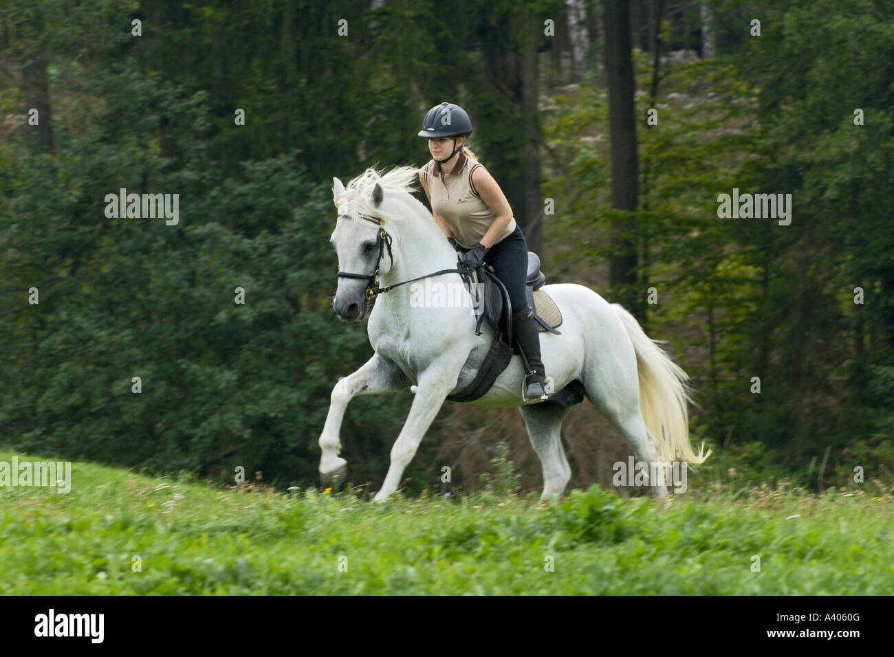 Pony riding fun woman gallop hi-res stock photography and images - Alamy