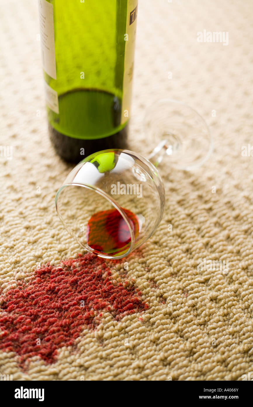 An overturned wine glass with red wine spilled on a woollen carpet ...