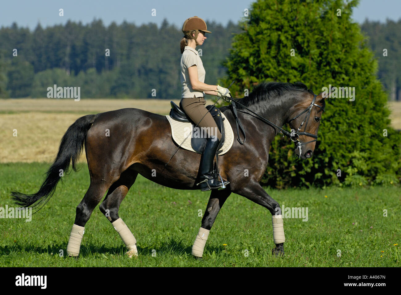 German female equestrian hi-res stock photography and images - Alamy