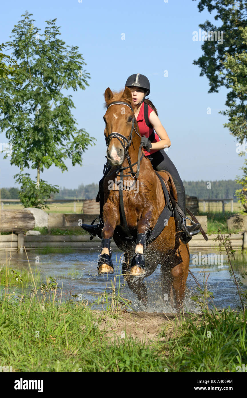 Girl riding a German pony jumping out of the water Stock Photo - Alamy