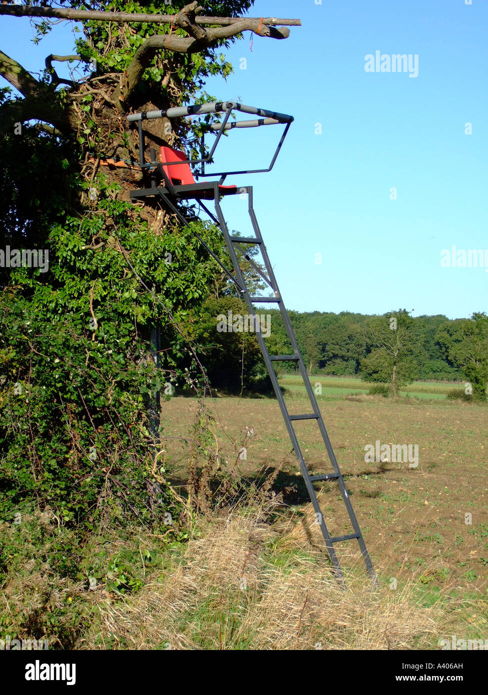 High seat deer hunting hunting hi-res stock photography and images - Alamy