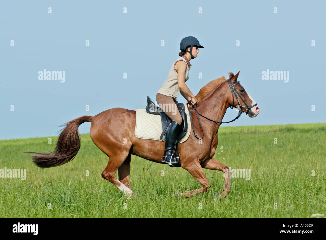 Rider and pony hi-res stock photography and images - Alamy
