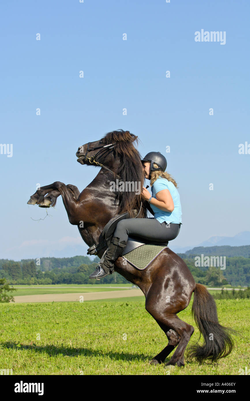 Girl on back of a rearing Icelandic horse Stock Photo - Alamy