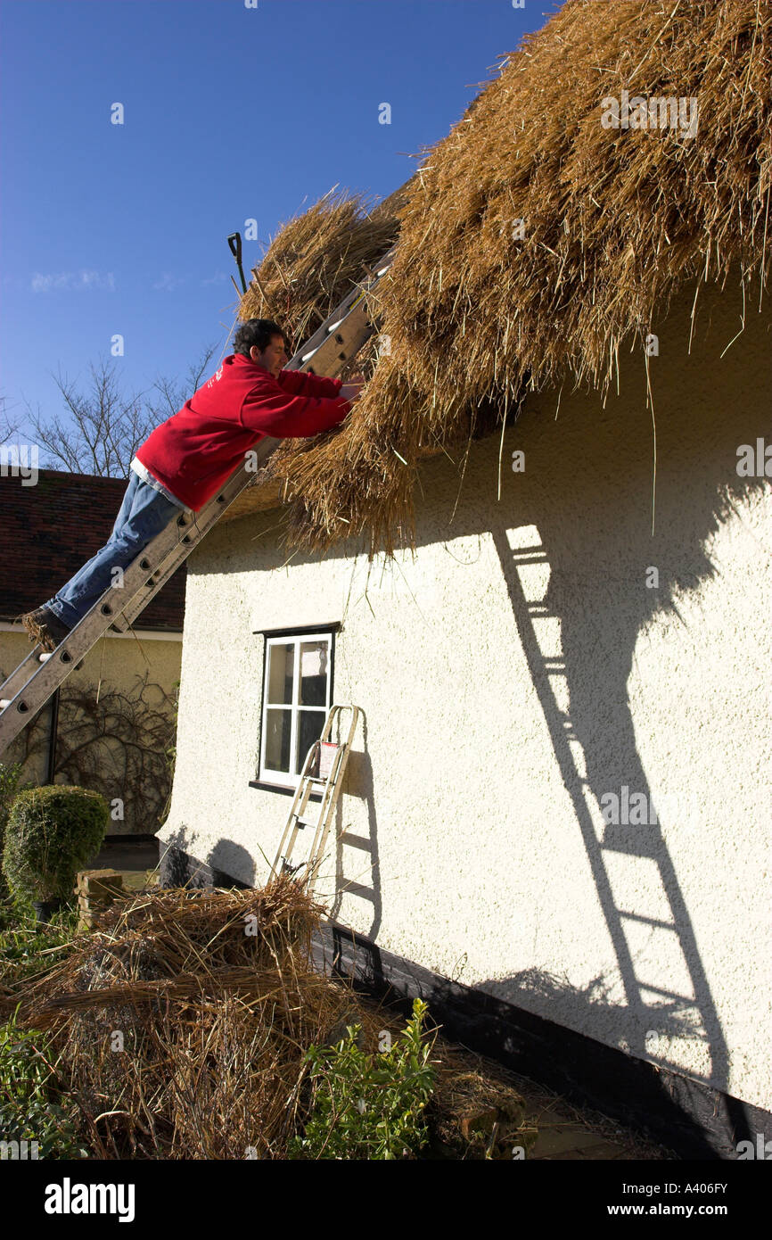 Skilled thatcher hi-res stock photography and images - Alamy
