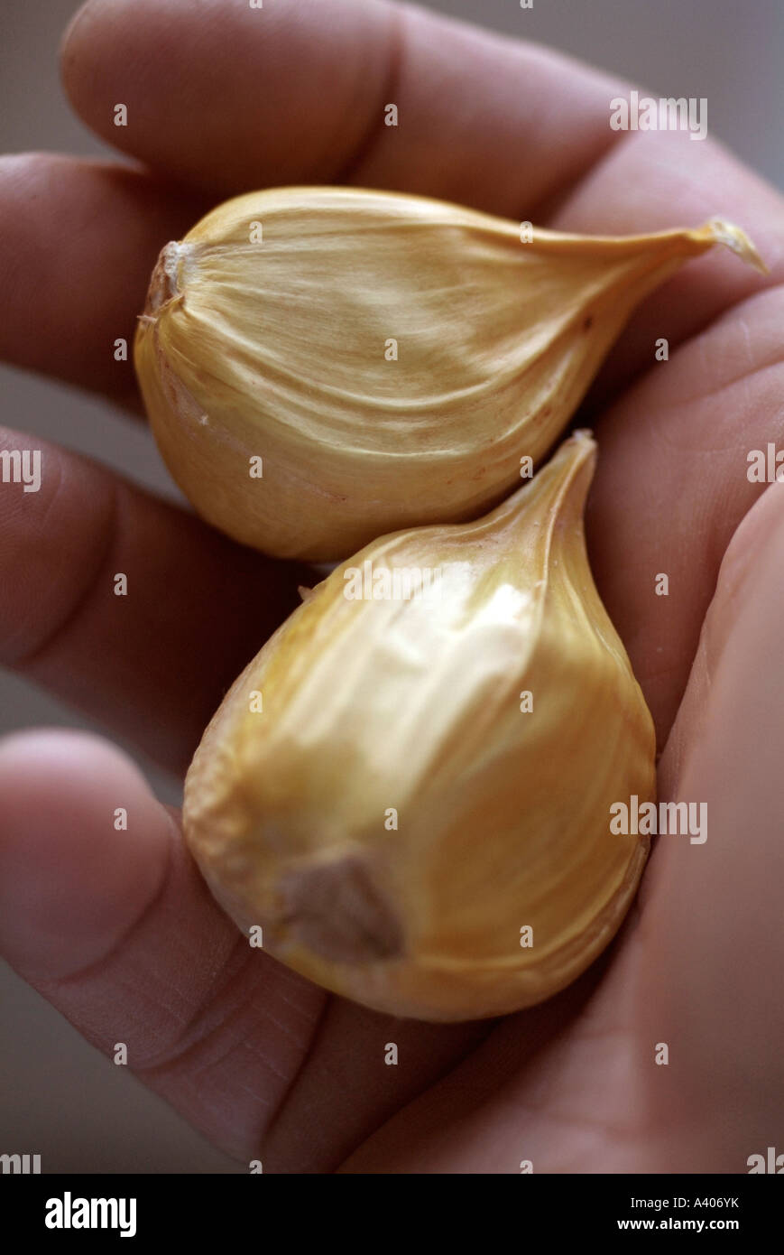 hand holding cloves of garlic Stock Photo - Alamy