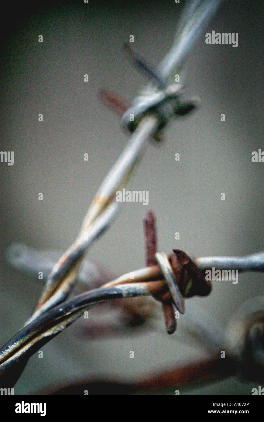 Restraining wire hi-res stock photography and images - Alamy