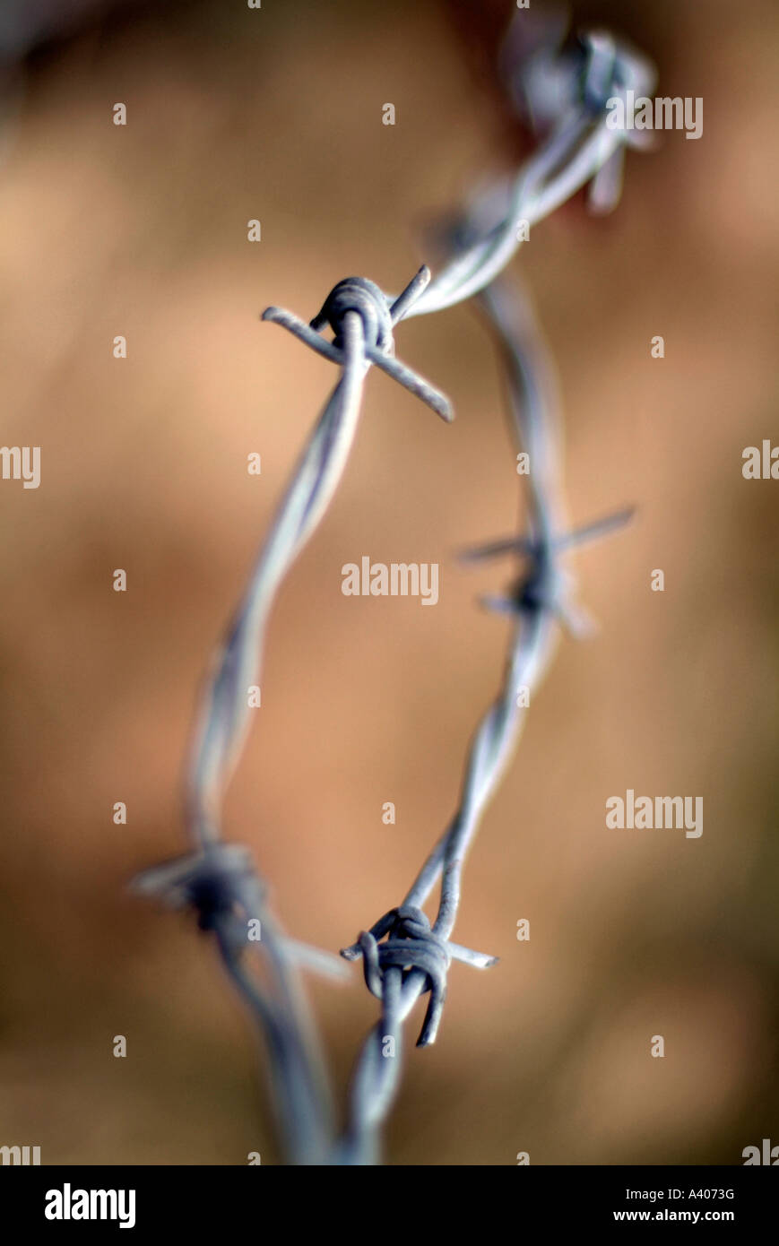 Restraining wire hi-res stock photography and images - Alamy