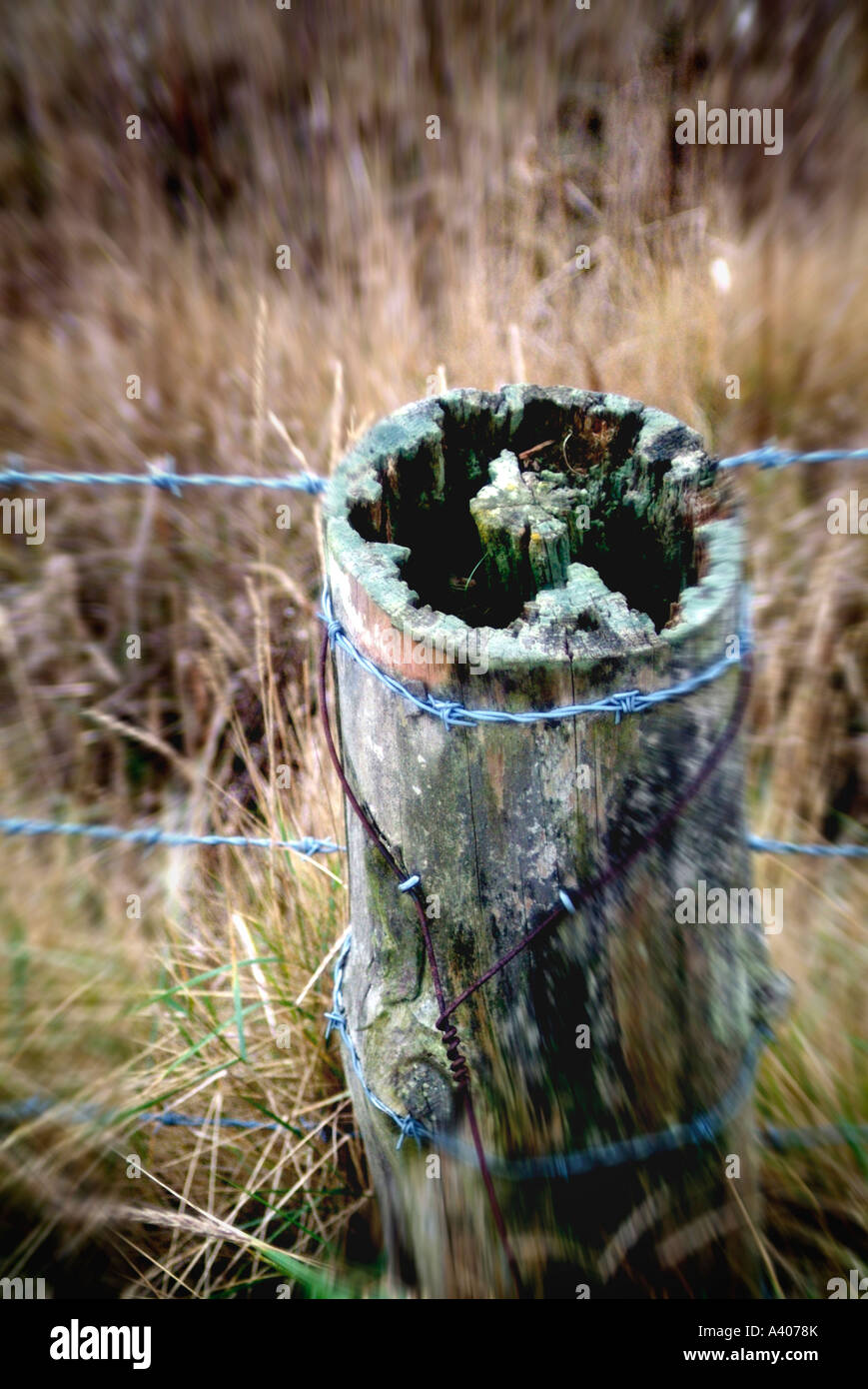 rotting fence post Stock Photo - Alamy