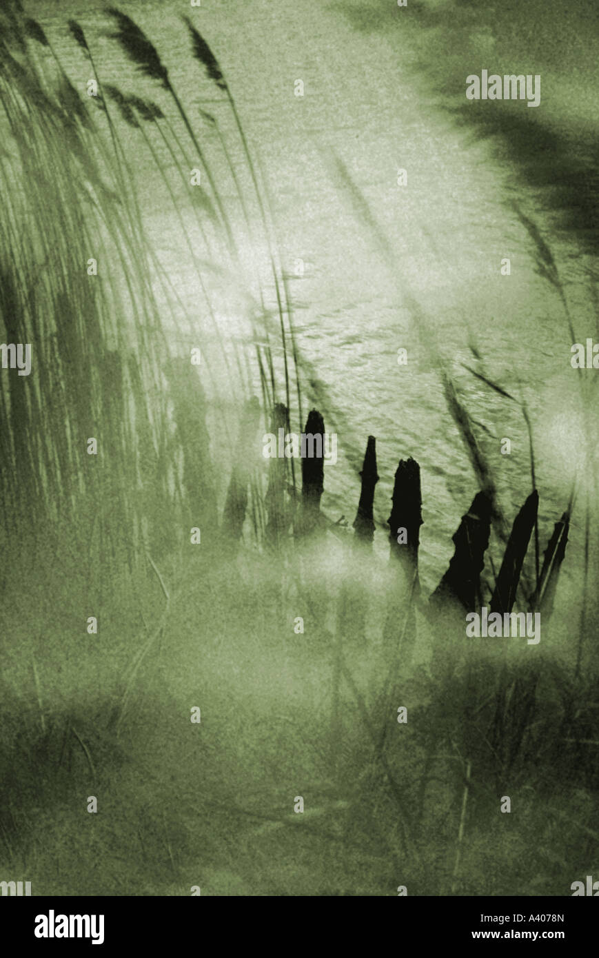 Rotting posts hi-res stock photography and images - Alamy