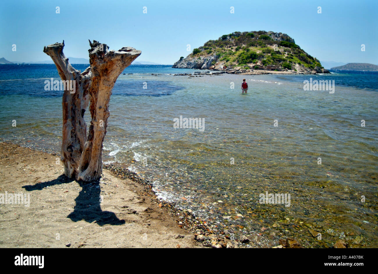 Rabbit island turkey hi-res stock photography and images - Alamy