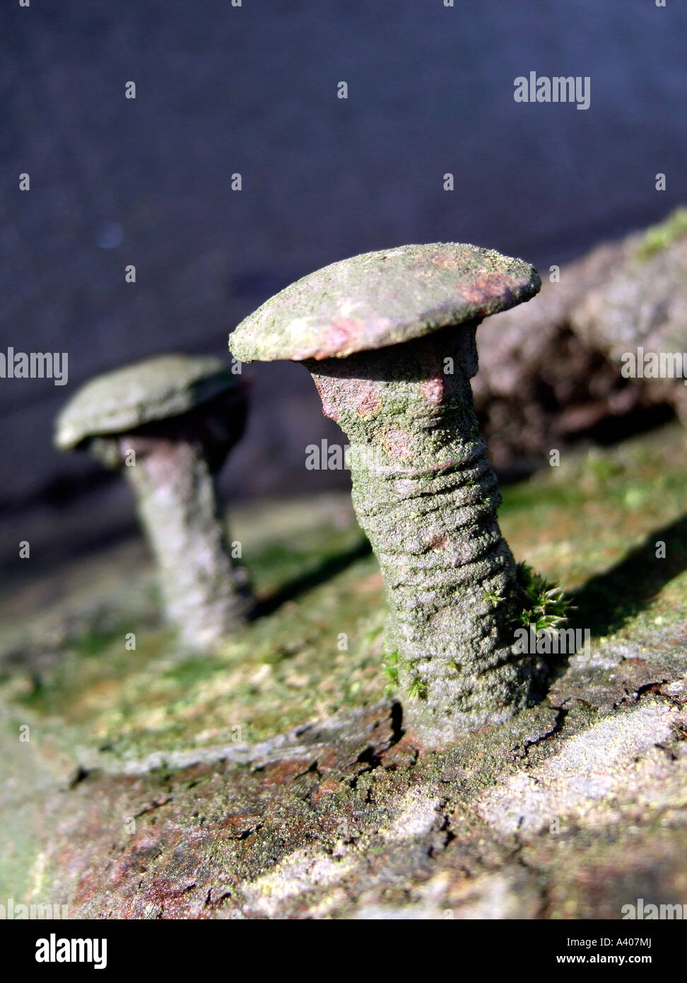 Coach bolts rusting erosion fastenings hi-res stock photography and ...