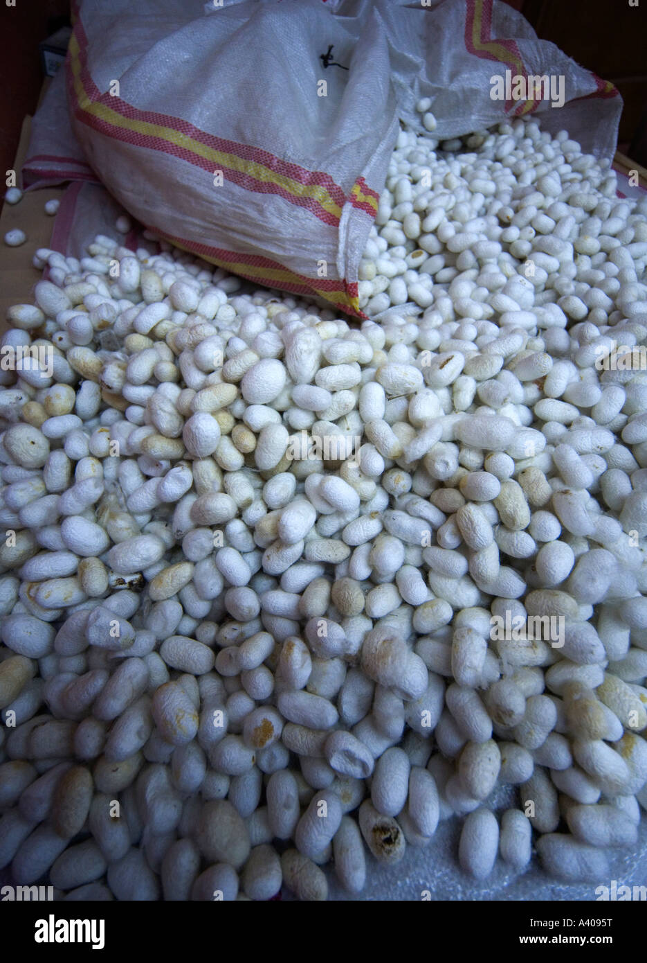 Carpet industry factory hi-res stock photography and images - Alamy