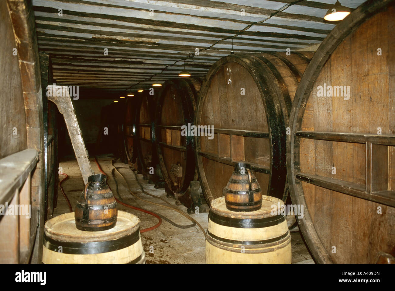 FRANCE BURGUNDY POMMARD WOODEN VATS IN CHATEAU DE POMMARD WINERY'S ...