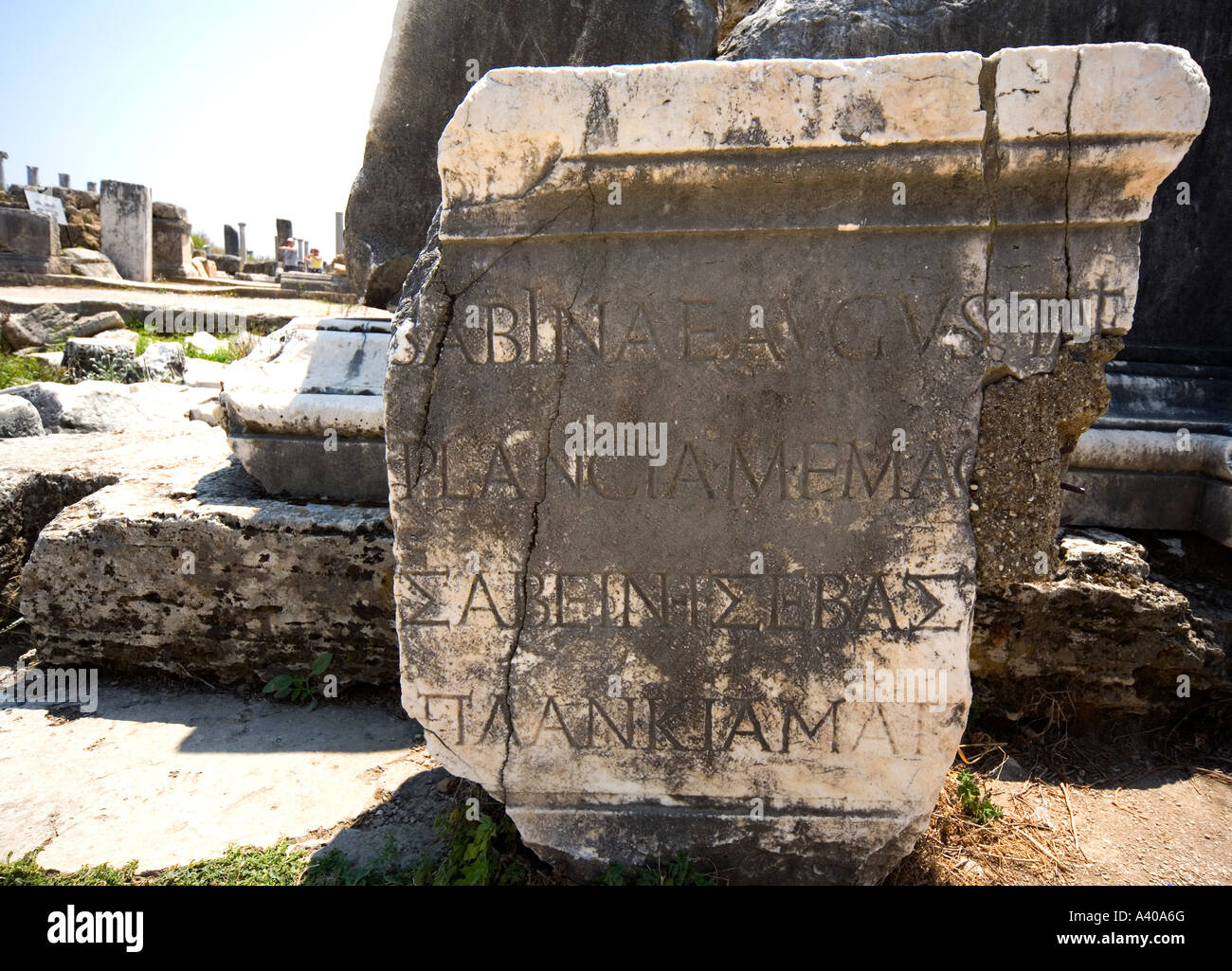 Plancia magna hi-res stock photography and images - Alamy