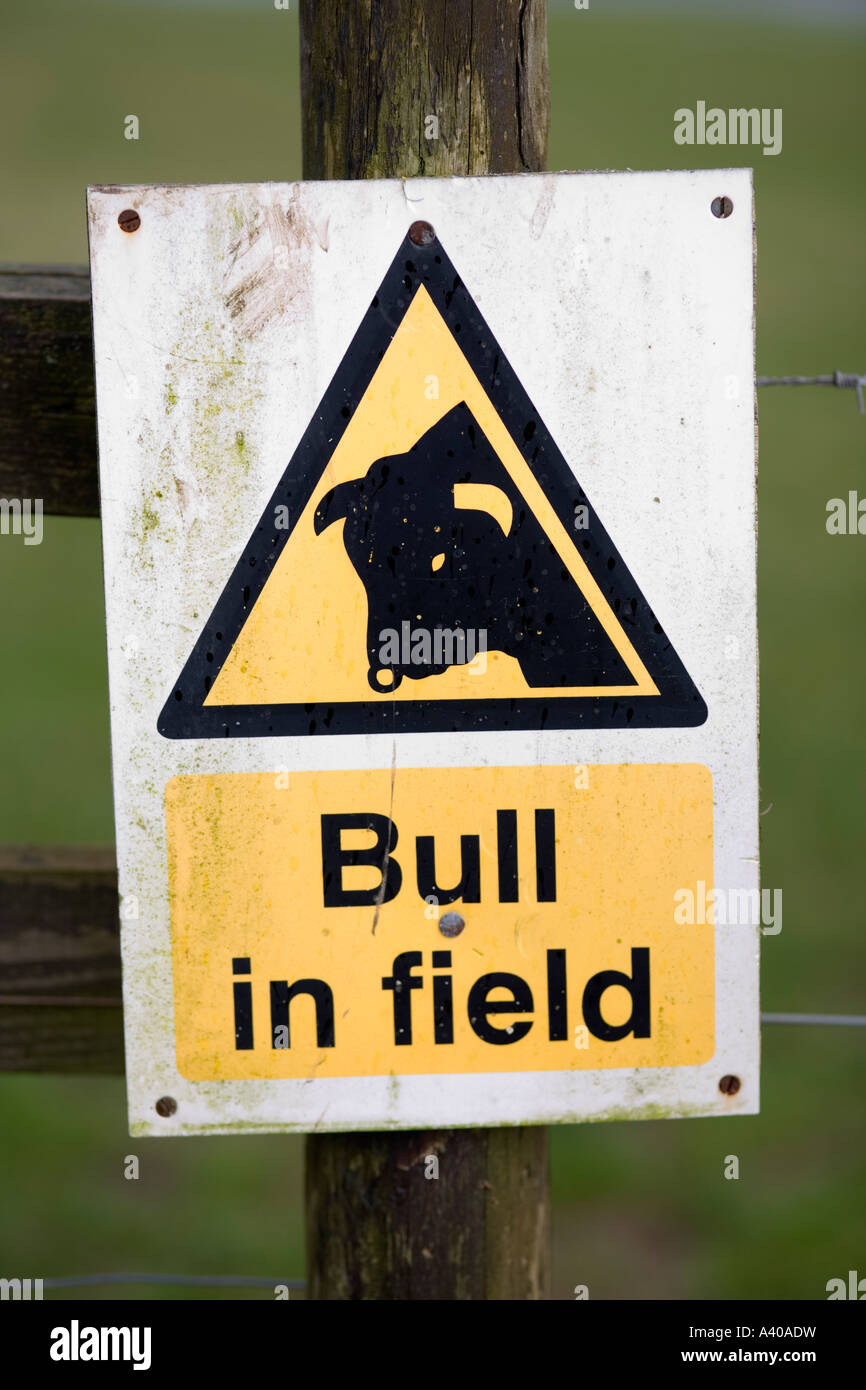Bull in field warning sign, Gloucestershire, UK Stock Photo - Alamy