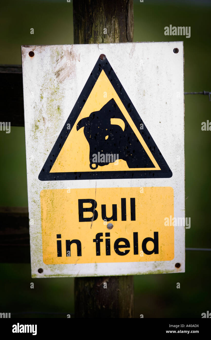 Bull in field warning sign, Gloucestershire, UK Stock Photo - Alamy