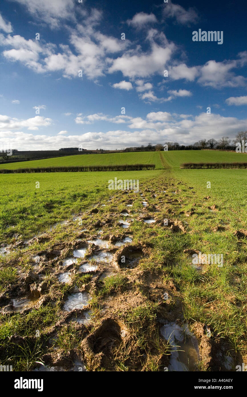Muddy walk hi-res stock photography and images - Alamy