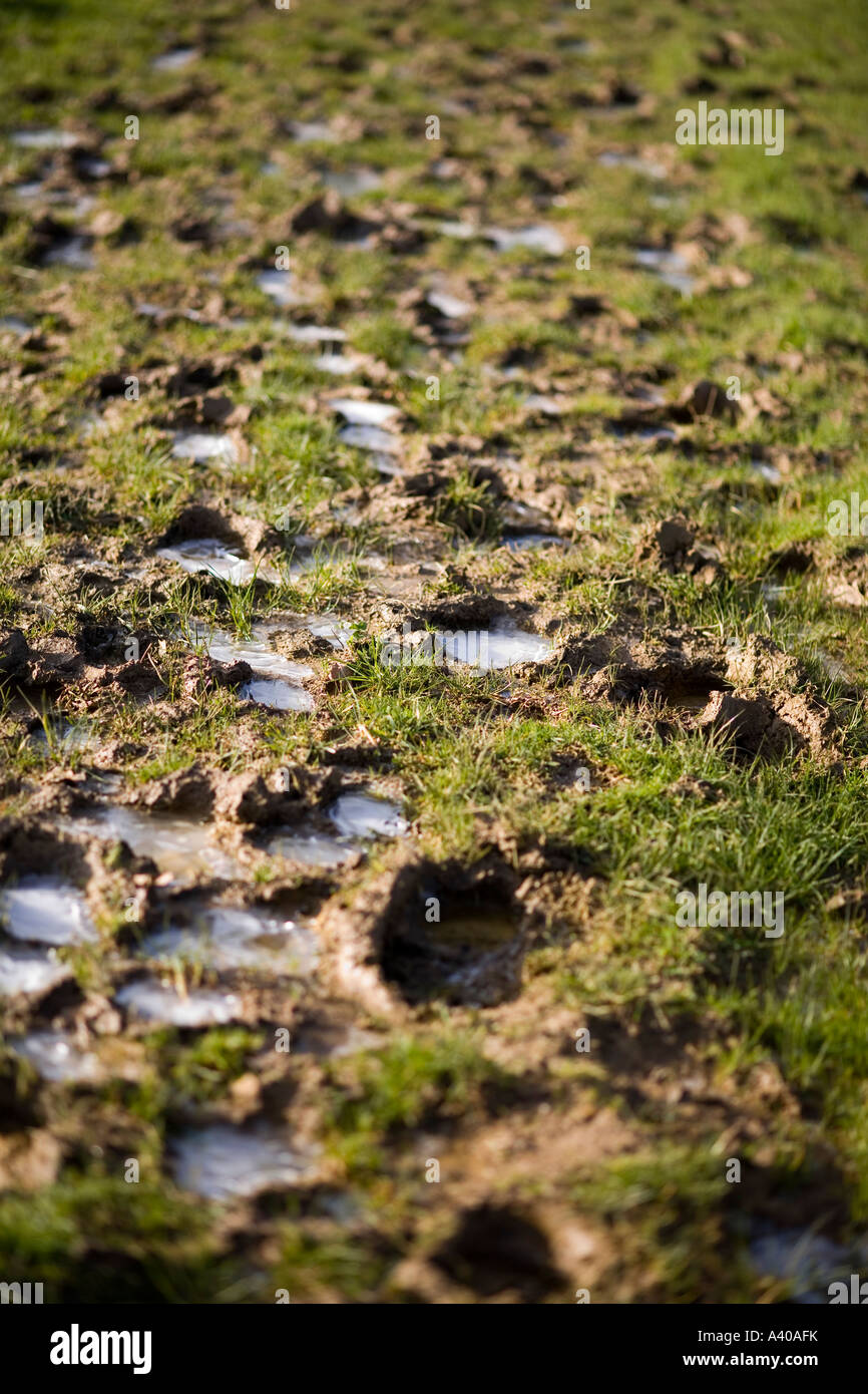 A muddy footpath in the countryside, UK Stock Photo - Alamy