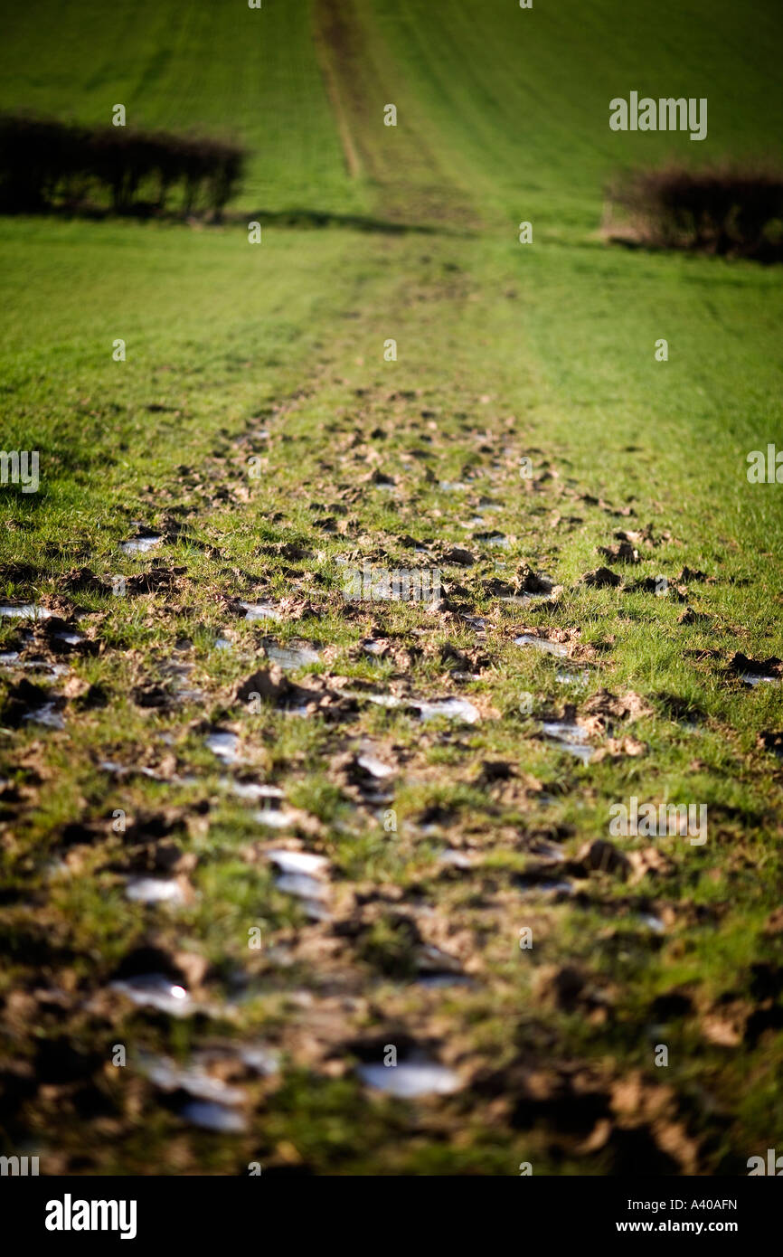 Muddy walk hi-res stock photography and images - Alamy