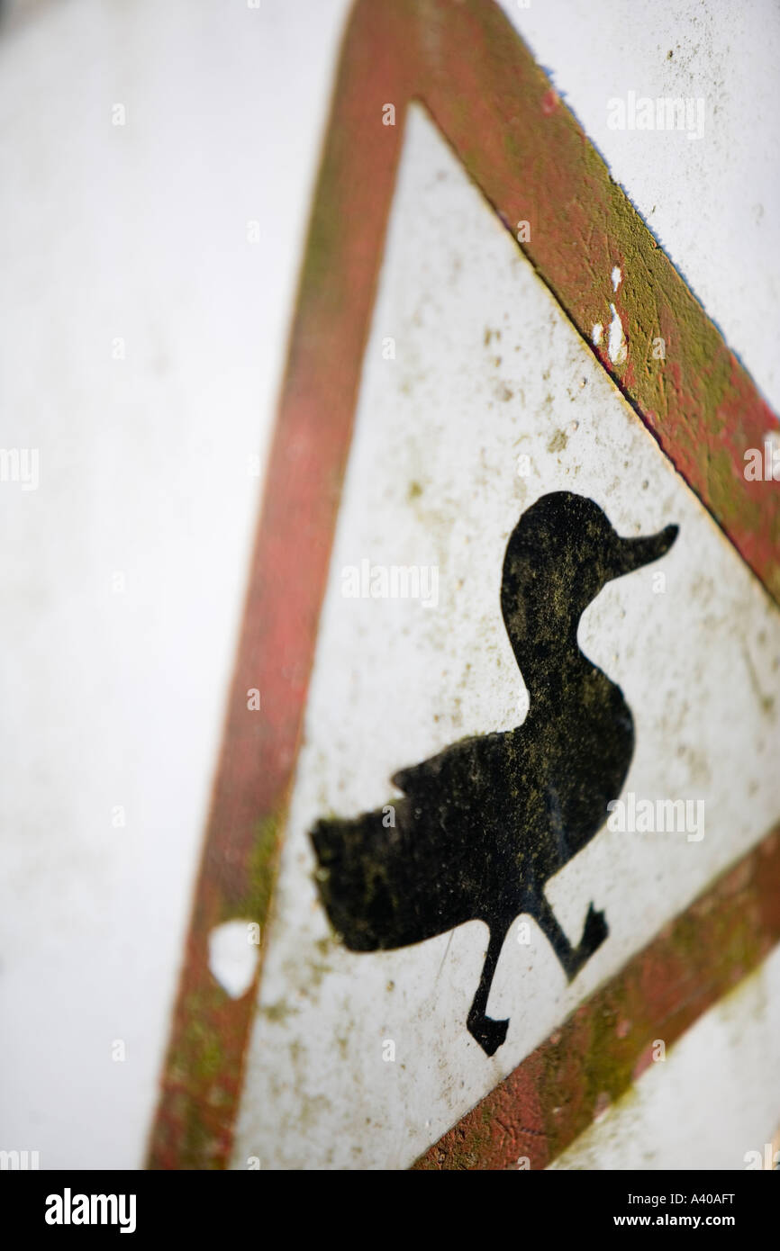 Ducks crossing sign on a village green, Bledington, Gloucestershire, UK ...