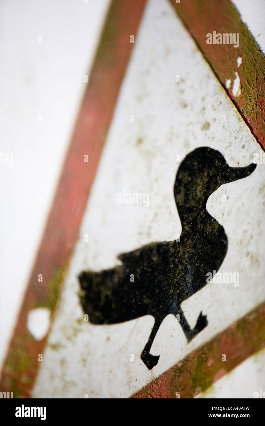 Ducks crossing sign on a village green, Bledington, Gloucestershire, UK ...