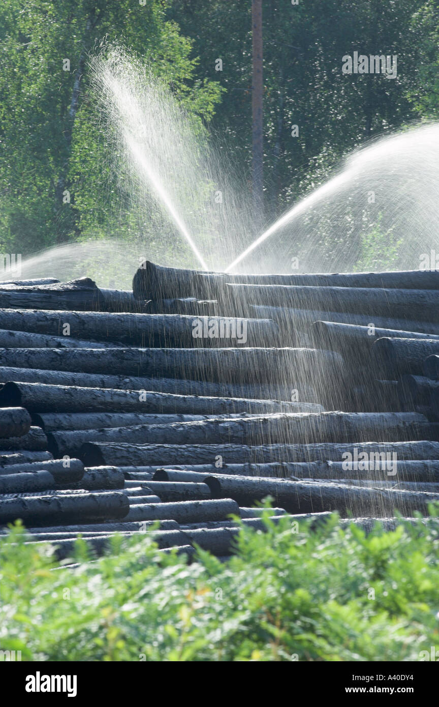 Timber poles hi-res stock photography and images - Alamy