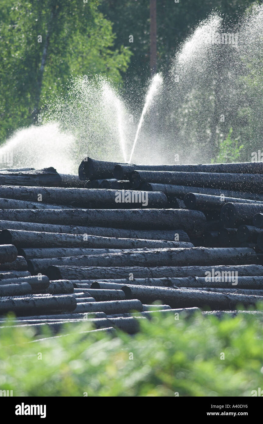 Water logged timber hi-res stock photography and images - Alamy