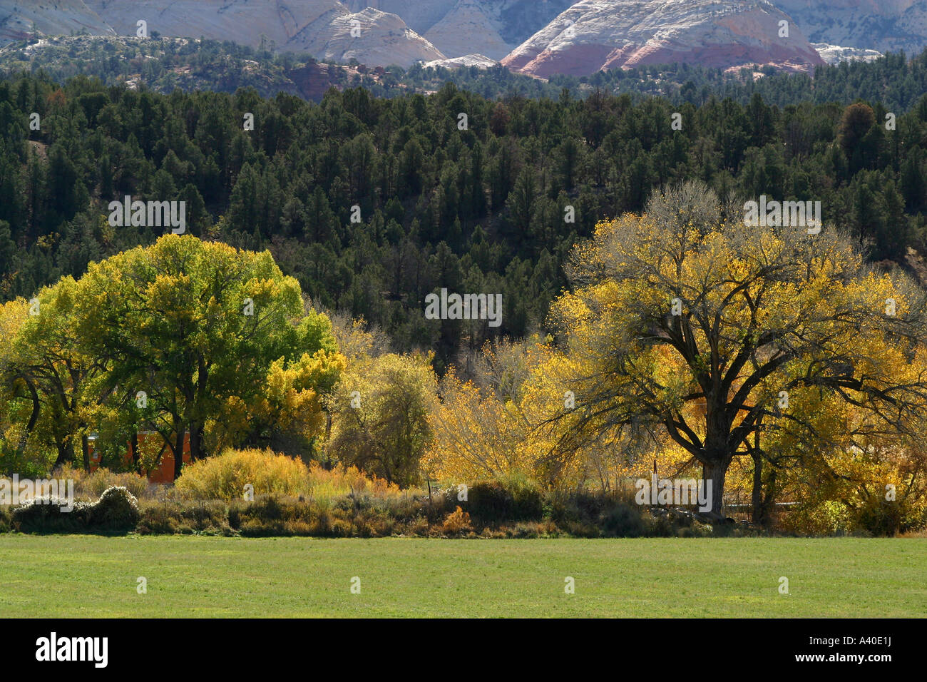 autumn in Utah Stock Photo - Alamy