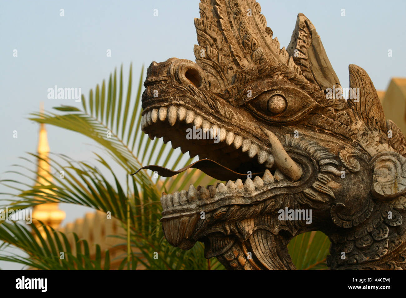 Naga schlange schlange hi-res stock photography and images - Alamy