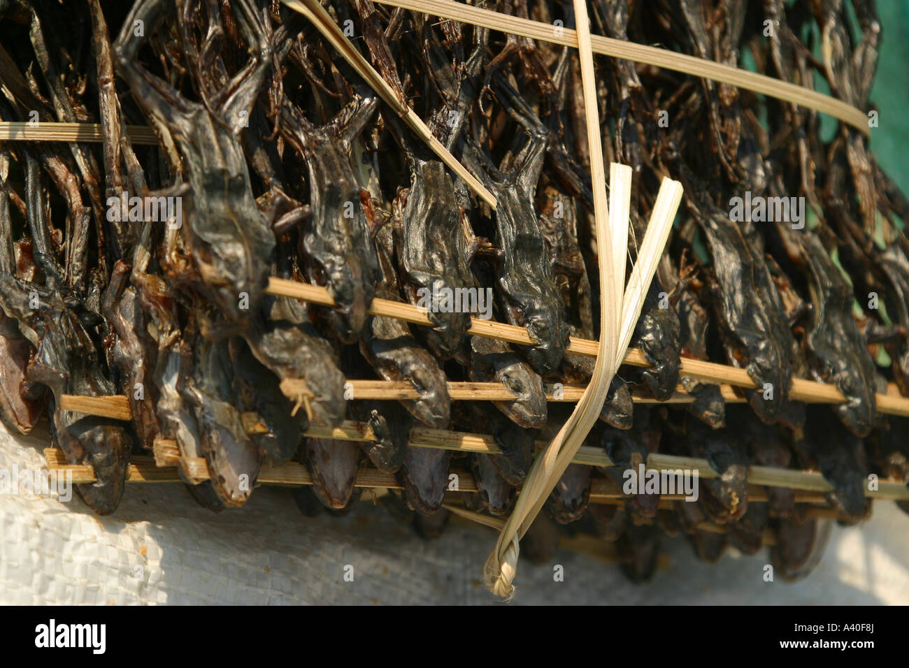 exotic food grilled frogs Stock Photo - Alamy